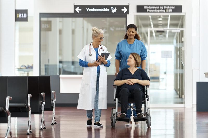 The Danish healthcare system